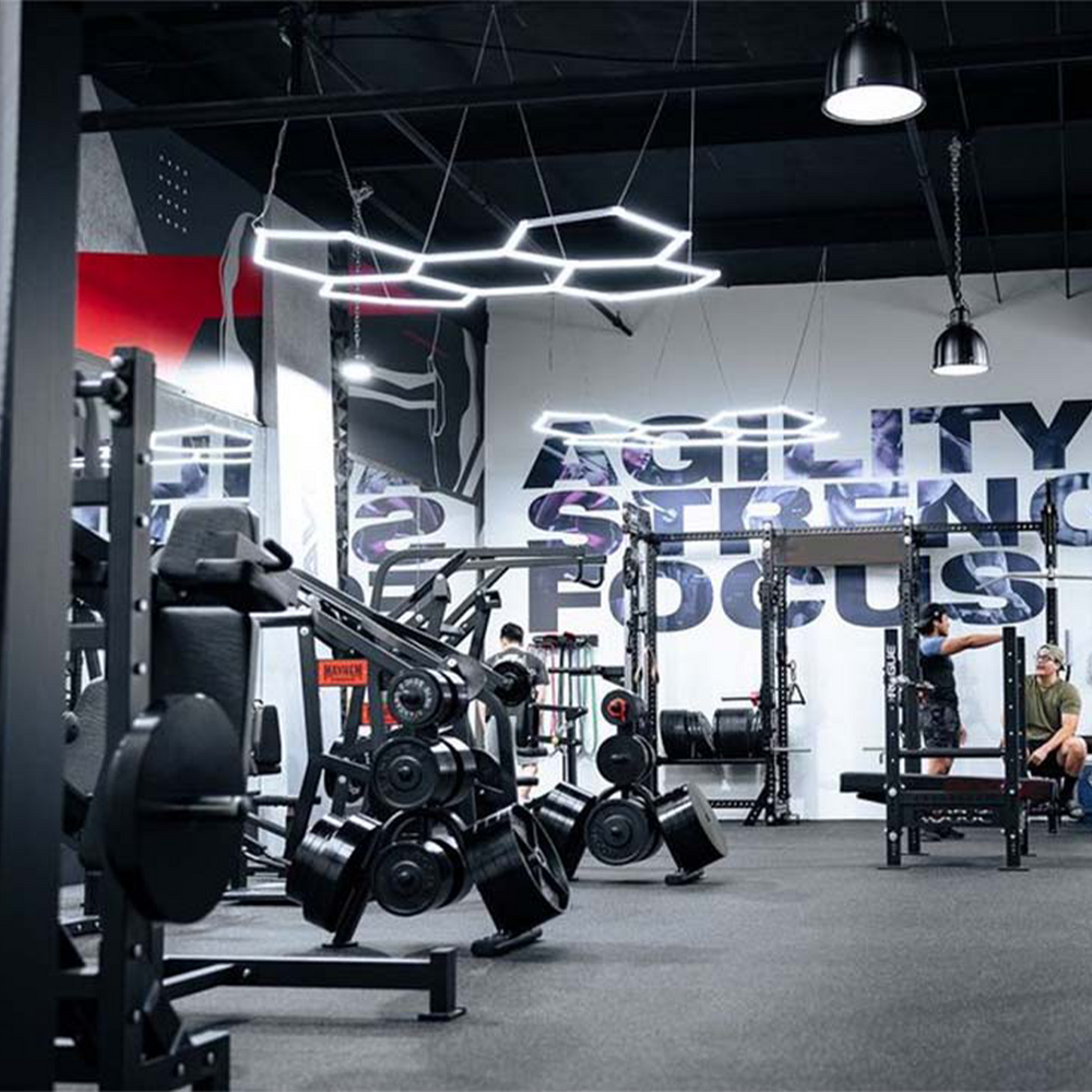 Mayhem Strength Gym Equipment